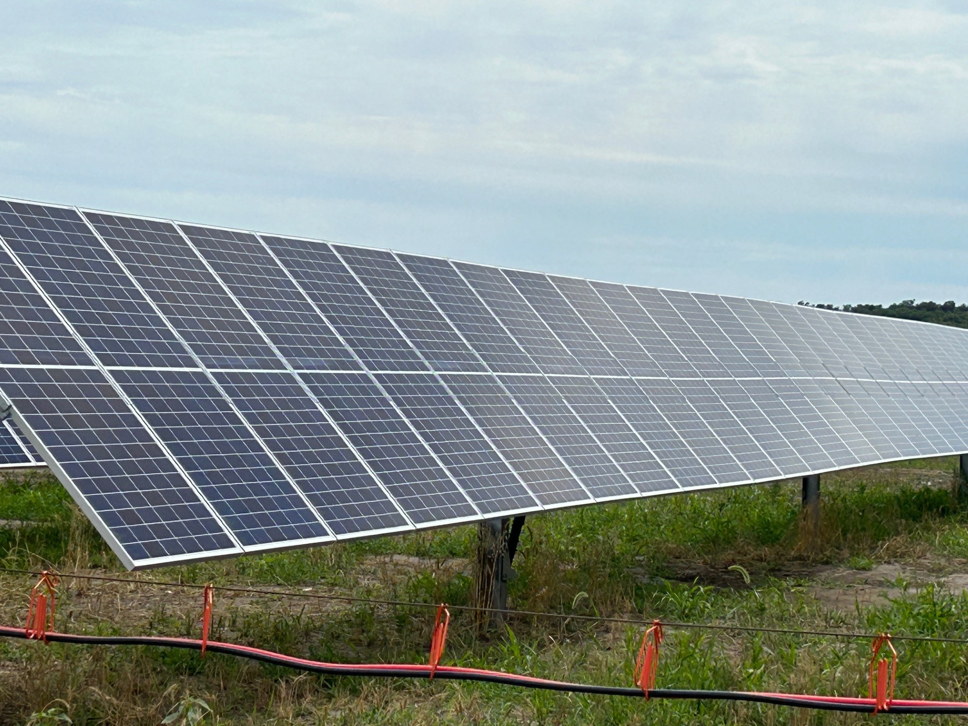 Alliant Energy - Solar field in Linn County generating energy ...