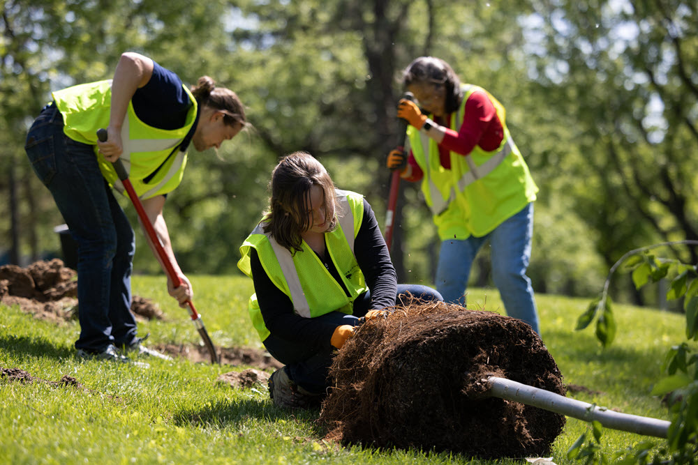 Alliant Energy - Over 40 communities in Iowa receive grants to plant ...